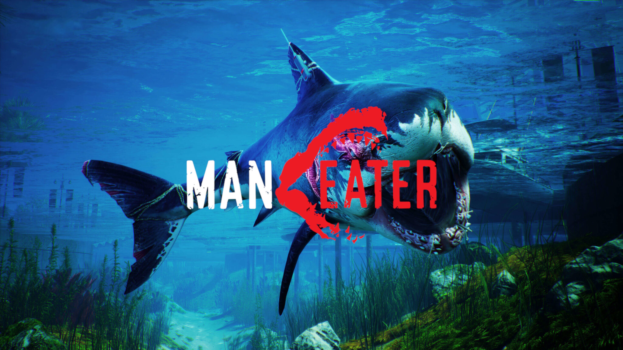 Maneater for free at the Epic Games Store | GameNews.pl